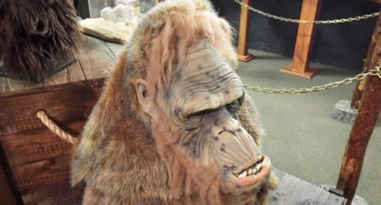 10 Things You Didn't Know about Expedition Bigfoot