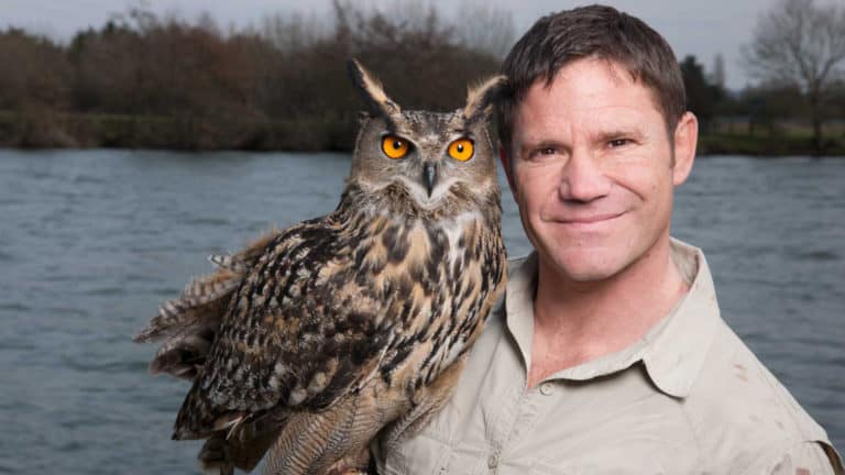 10 Things You Didn't Know About Steve Backshall