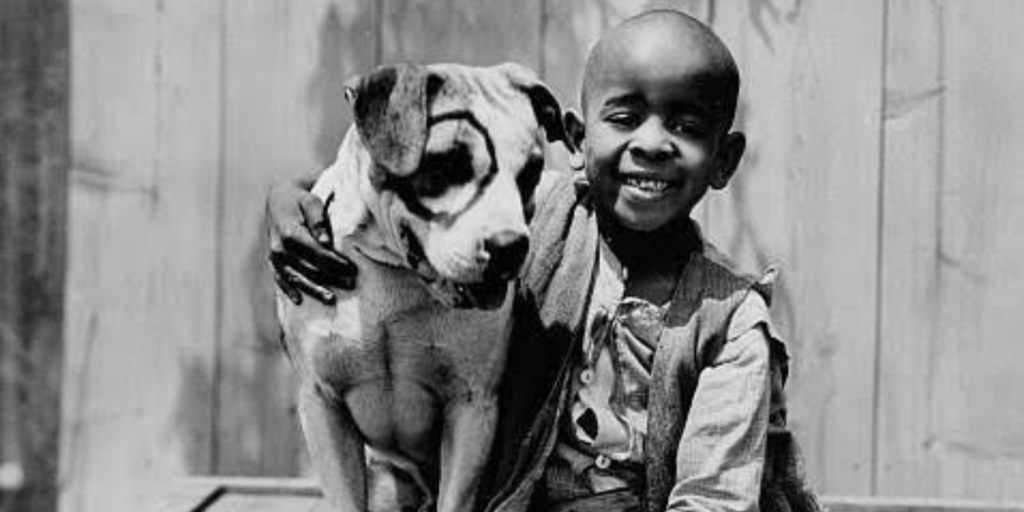 Whatever Happened To The Cast of The Little Rascals? - TVovermind