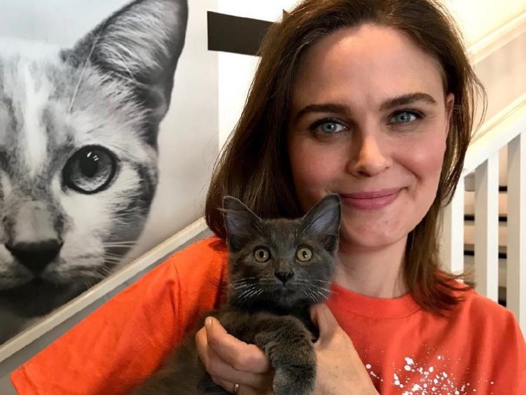 10 Things You Don’t Know About Emily Deschanel - TVovermind