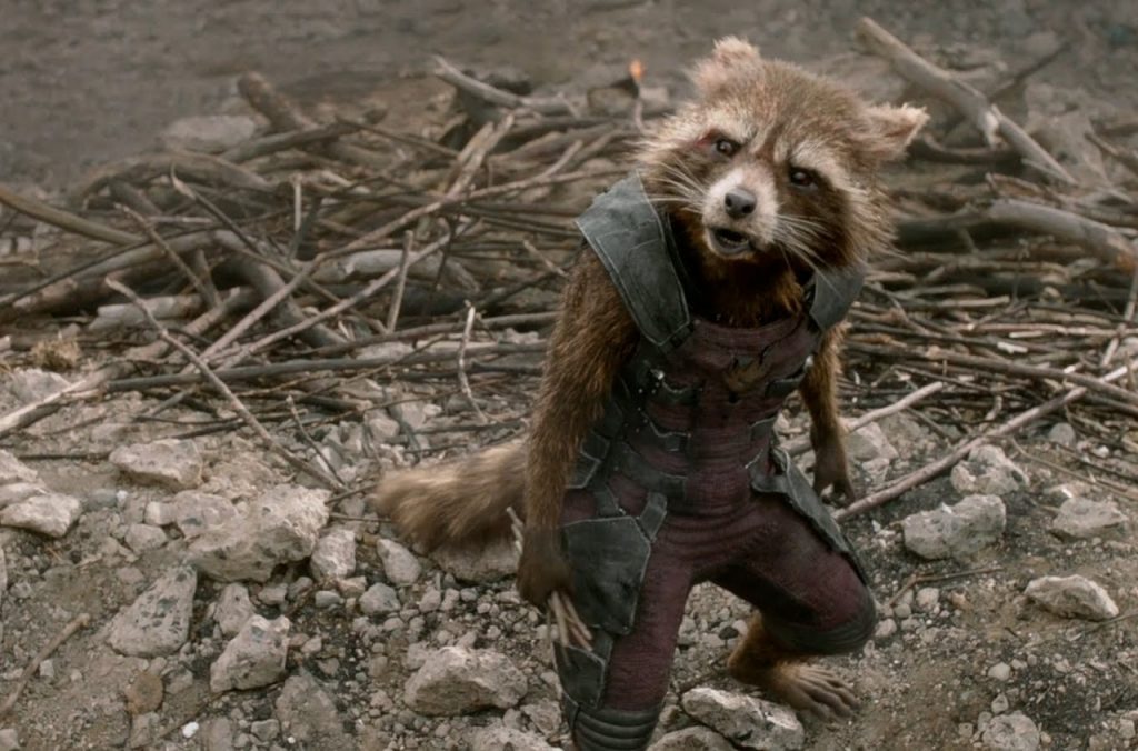 It’s All About Rocket, James Gunn’s ‘Secret’ Protagonist - TVovermind