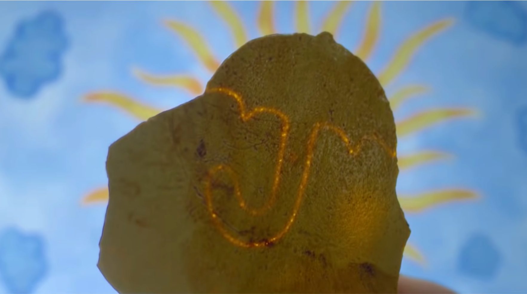 Revisiting Squid Game: How To Win At “Sugar Honeycombs” - TVovermind