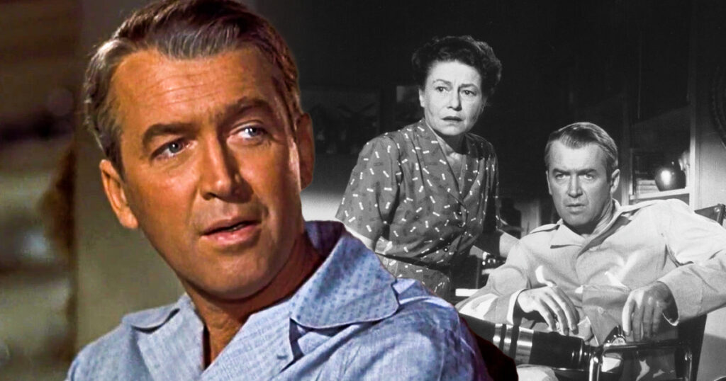 10 Things You Didn’t Know about Kaley Ronayne - TVovermind