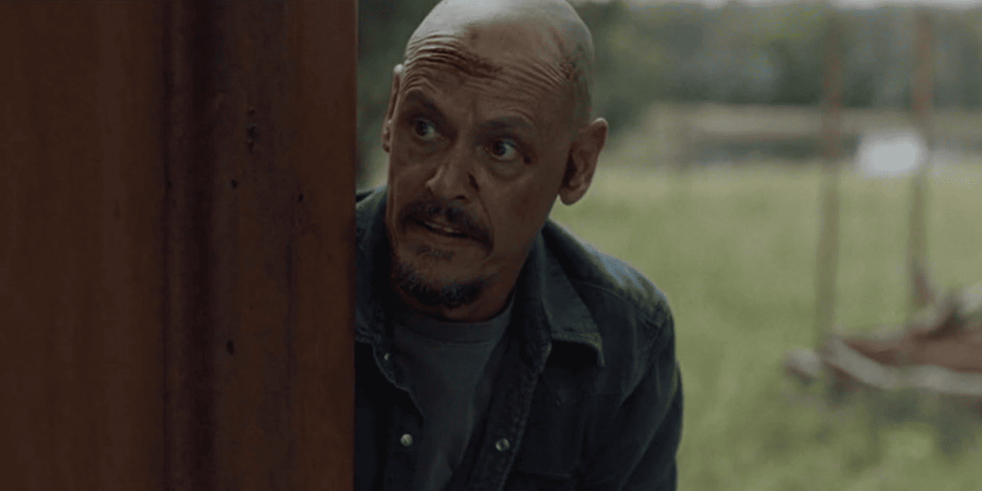 6 Things You Didn’t Know About Mr Inbetween’s Scott Ryan - TVovermind