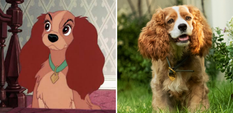 In-depth Analysis of Lady and the Tramp Characters - TVovermind