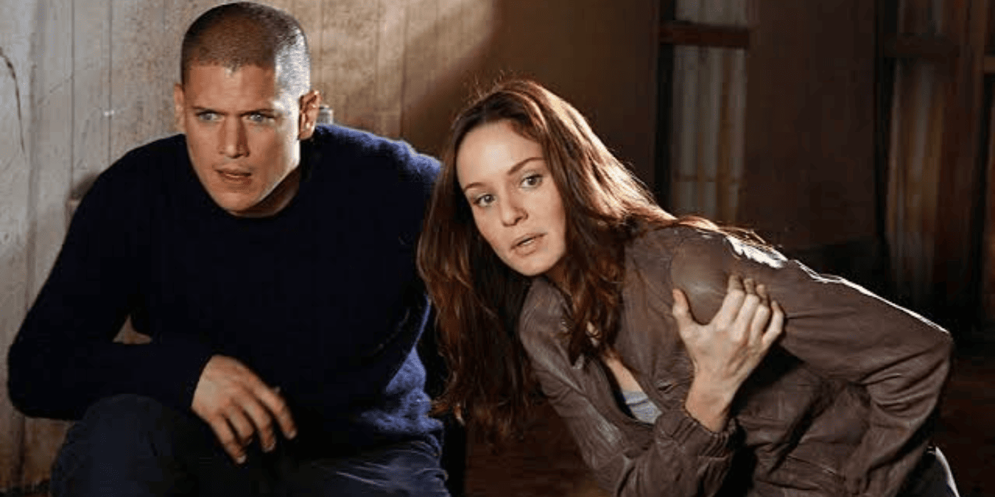 Sarah Wayne Callies: A Journey Through Her Acting Career - TVovermind