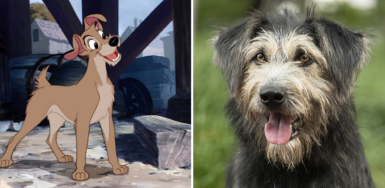 In-depth Analysis of Lady and the Tramp Characters - TVovermind