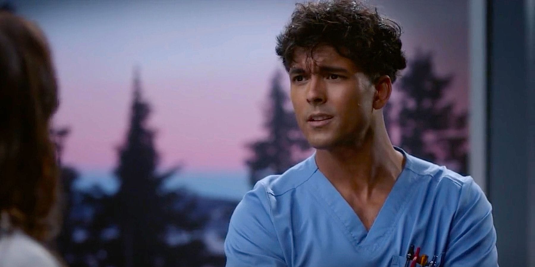 Who Are the New Cast Members of Grey’s Anatomy? – TVovermind