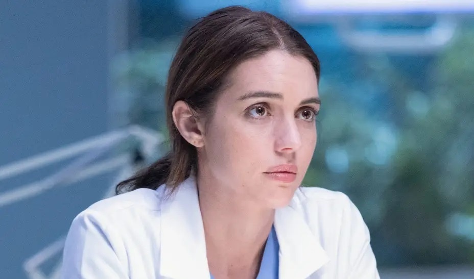Who Are the New Cast Members of Grey’s Anatomy? - TVovermind