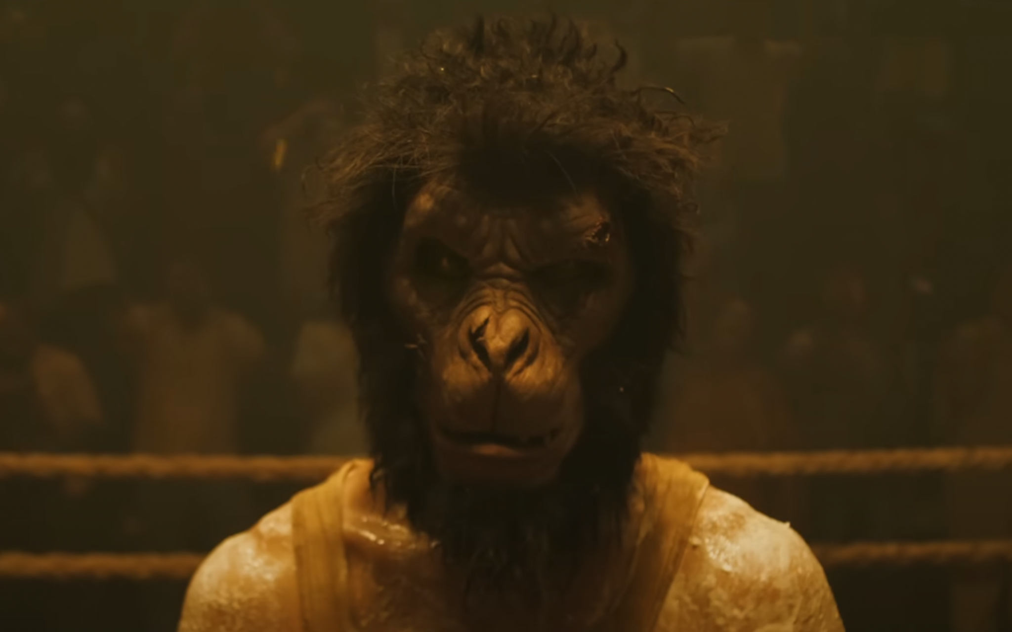Top Five Moments From Dev Patel’s Monkey Man Trailer - TVovermind