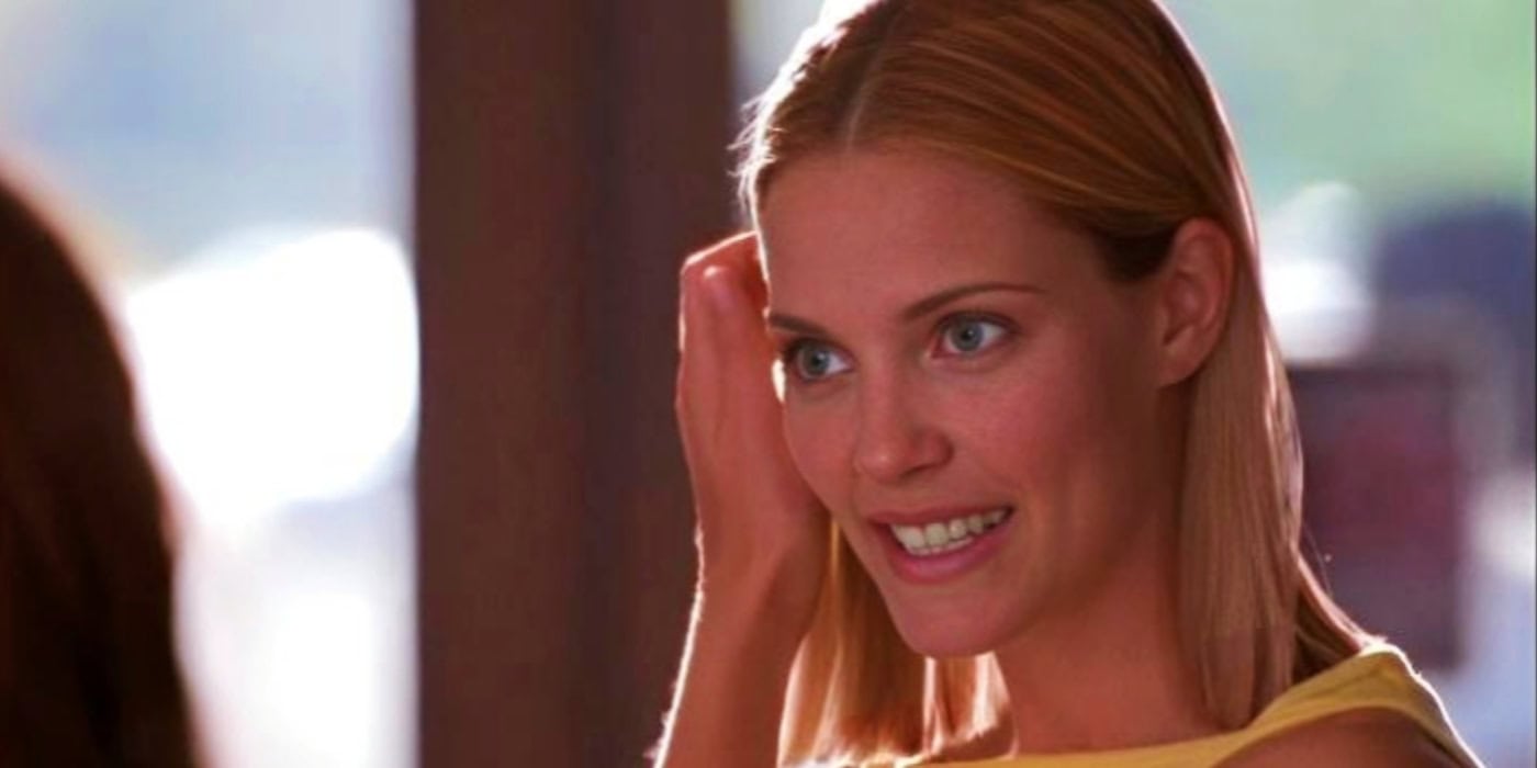 Leslie Bibb: A Journey Through Her Television Roles