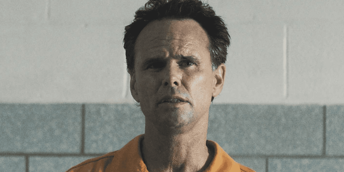 Fallout’s Walton Goggins: Breaking Down His 6 Best Roles – TVovermind