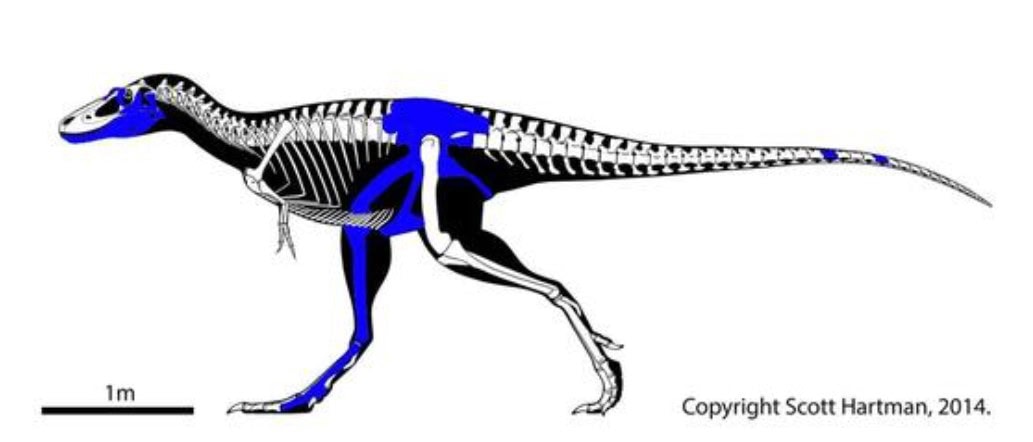 Incredible Discovery of Teenage T. Rex Fossil by Three North Dakota ...