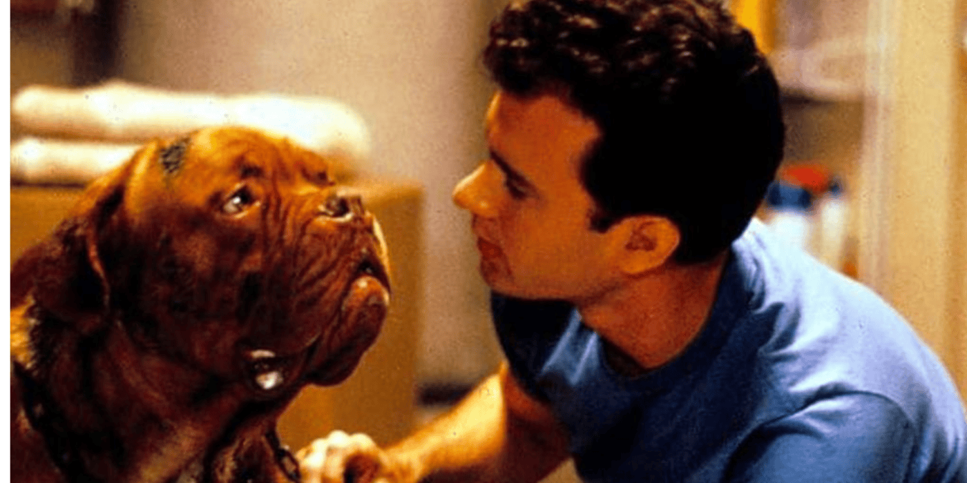 6 Best Buddy Cop Movies – TVovermind