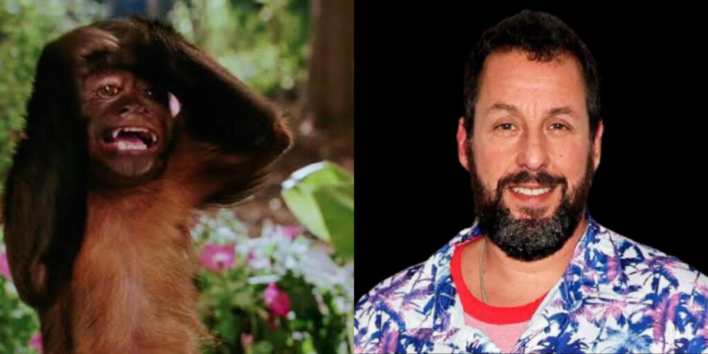 Who Starred Opposite Kevin James in ‘Zookeeper’? Meet the Cast - TVovermind