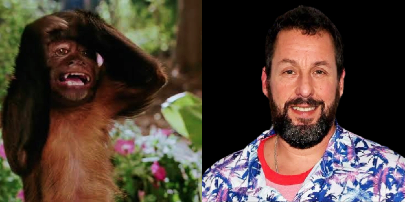 Who Starred Opposite Kevin James in ‘Zookeeper’? Meet the Cast - TVovermind