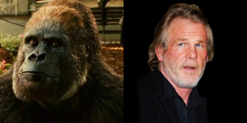 Who Starred Opposite Kevin James in ‘Zookeeper’? Meet the Cast - TVovermind